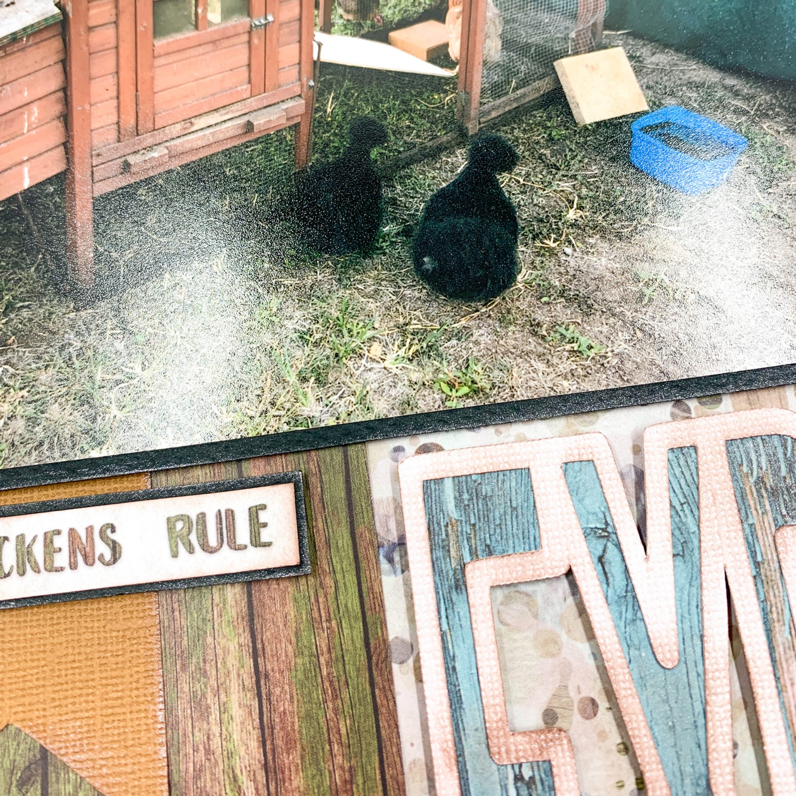 Week 28/2021 – Scrapbooking Class #2 – Wednesday Night – Runaway ...